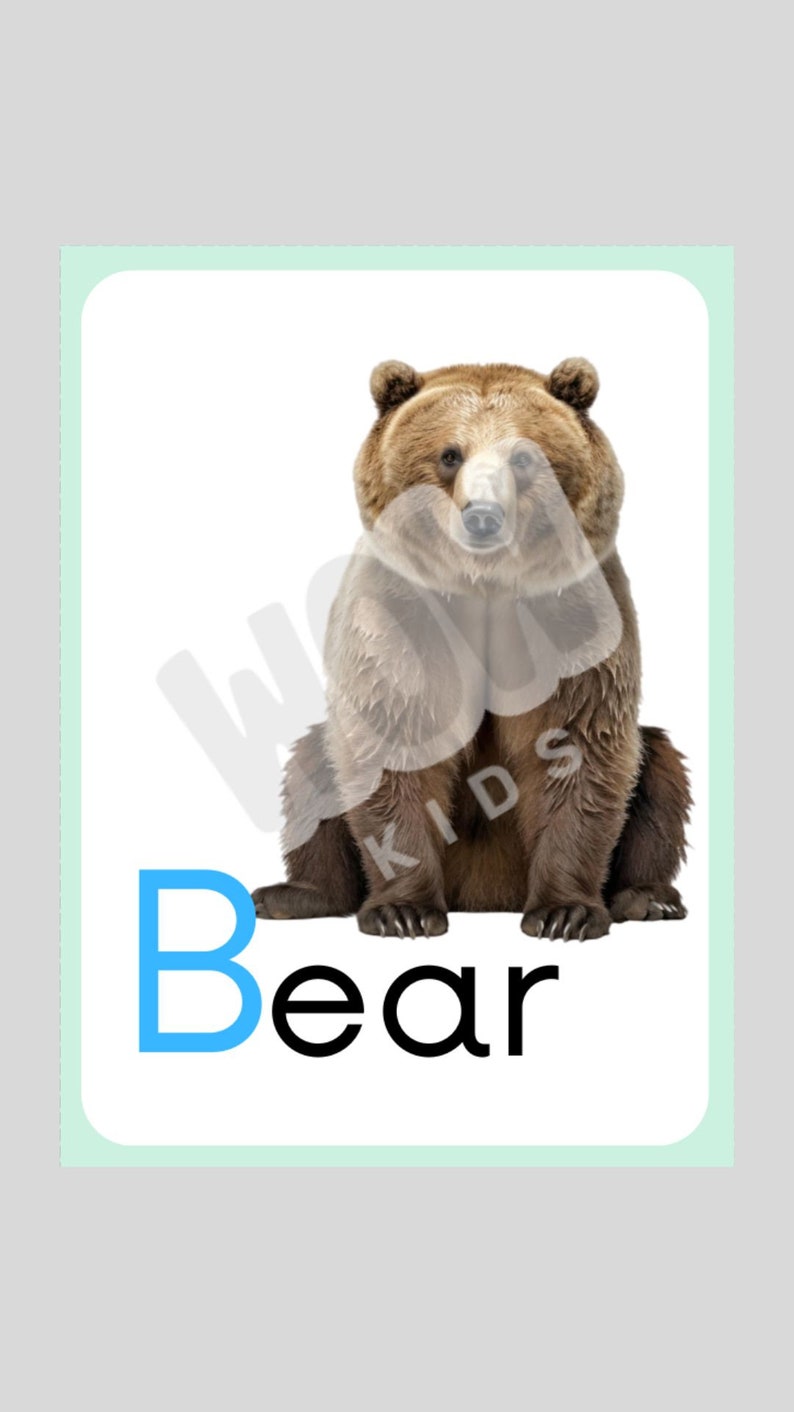 Flash Cards, Alphabet, Preschool Flashcards, Printables Learning ...