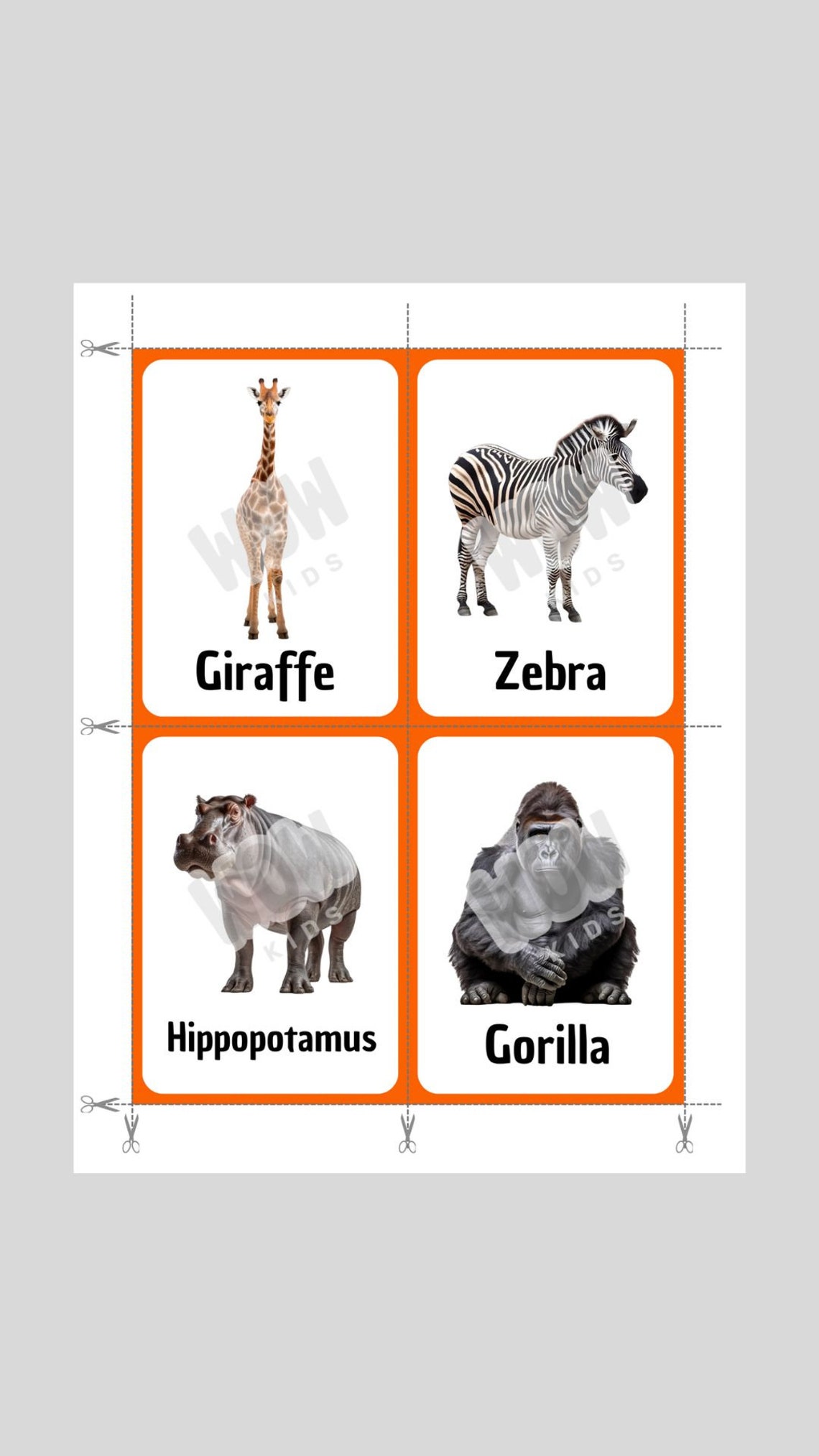 Flash Cards, Jungle Animals, Preschool Flashcards, Printables Learning ...