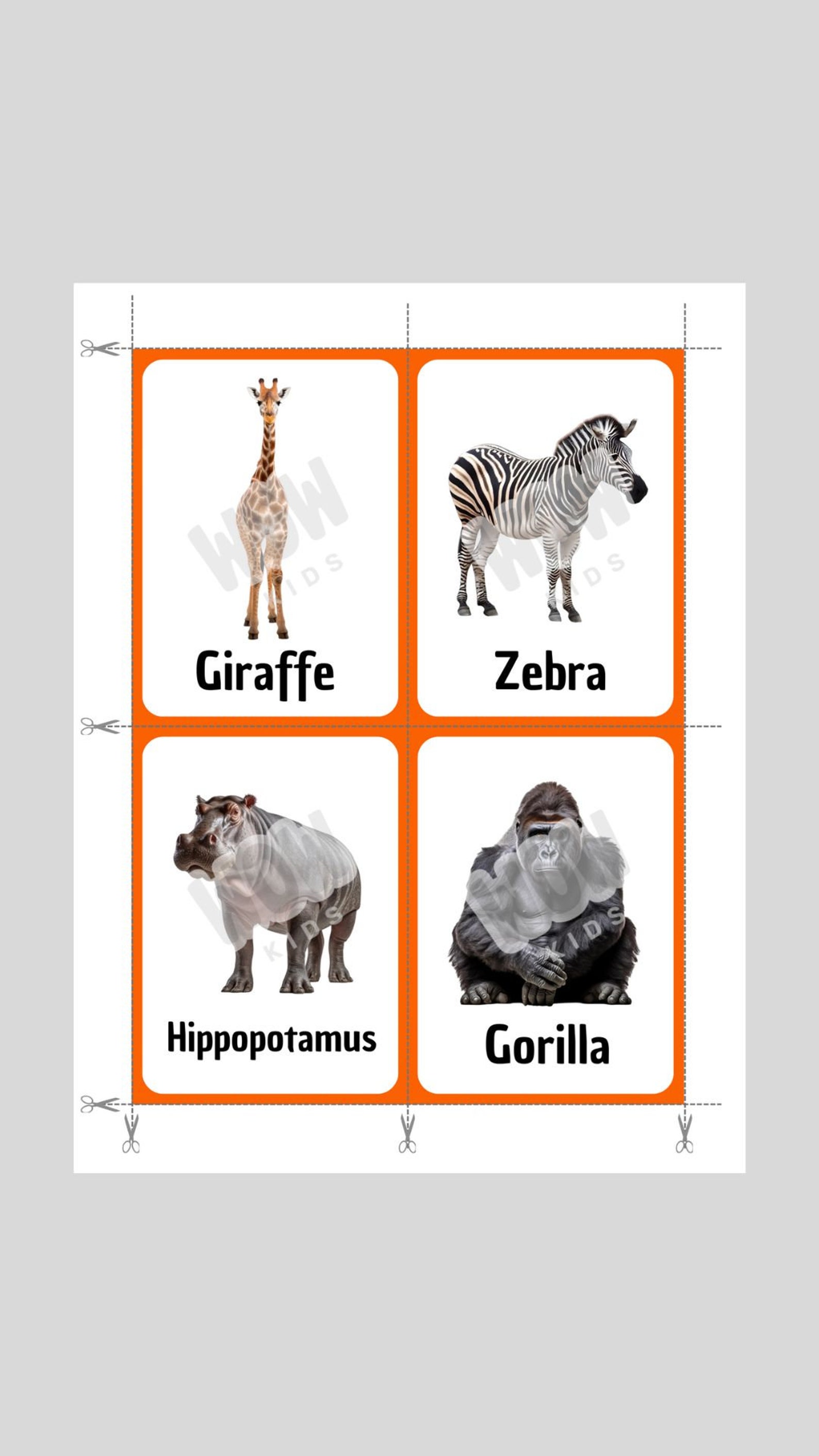 Flash Cards, Jungle Animals, Preschool Flashcards, Printables Learning ...