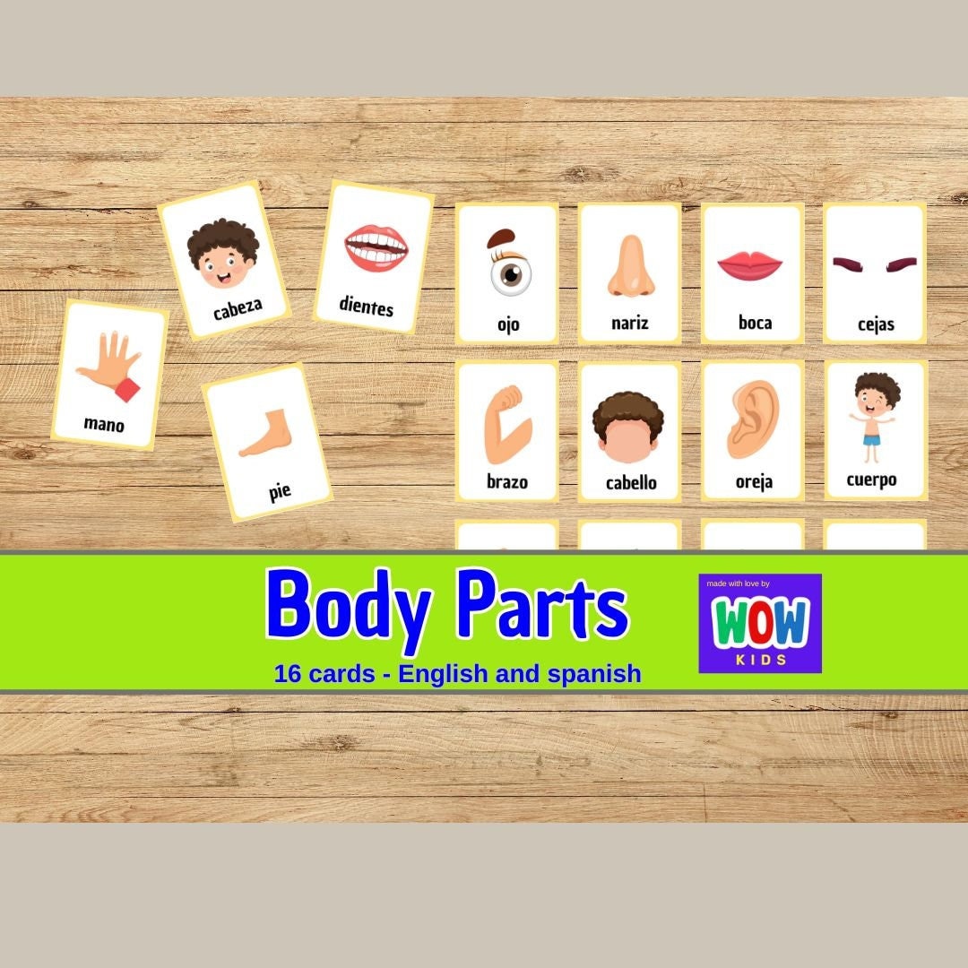 Flash Cards, Preschool Flashcards, Body Parts Flashcards, Image Cards ...