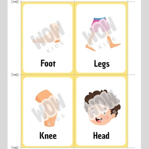Flash Cards, Preschool Flashcards, Body Parts Flashcards, Image Cards ...