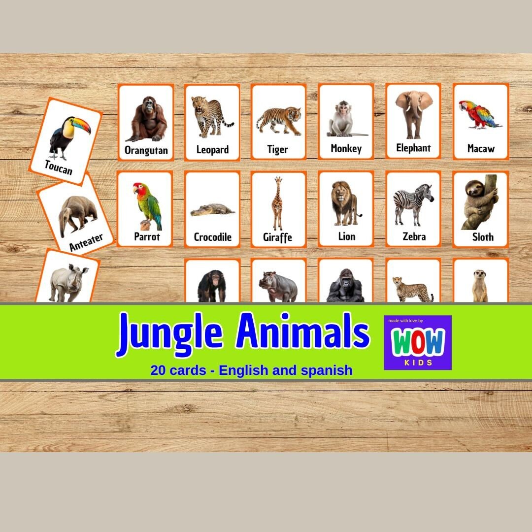 Flash Cards, Jungle Animals, Preschool Flashcards, Printables Learning ...