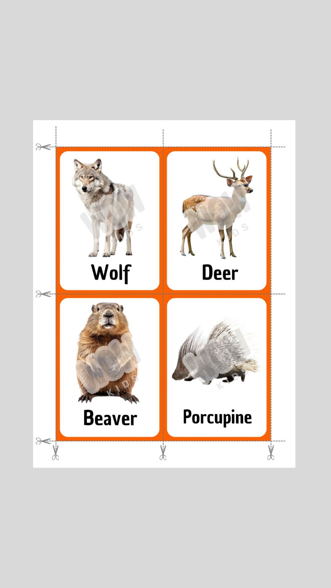 Flash Cards, Forest Animals, Preschool Flashcards, Printables Learning ...
