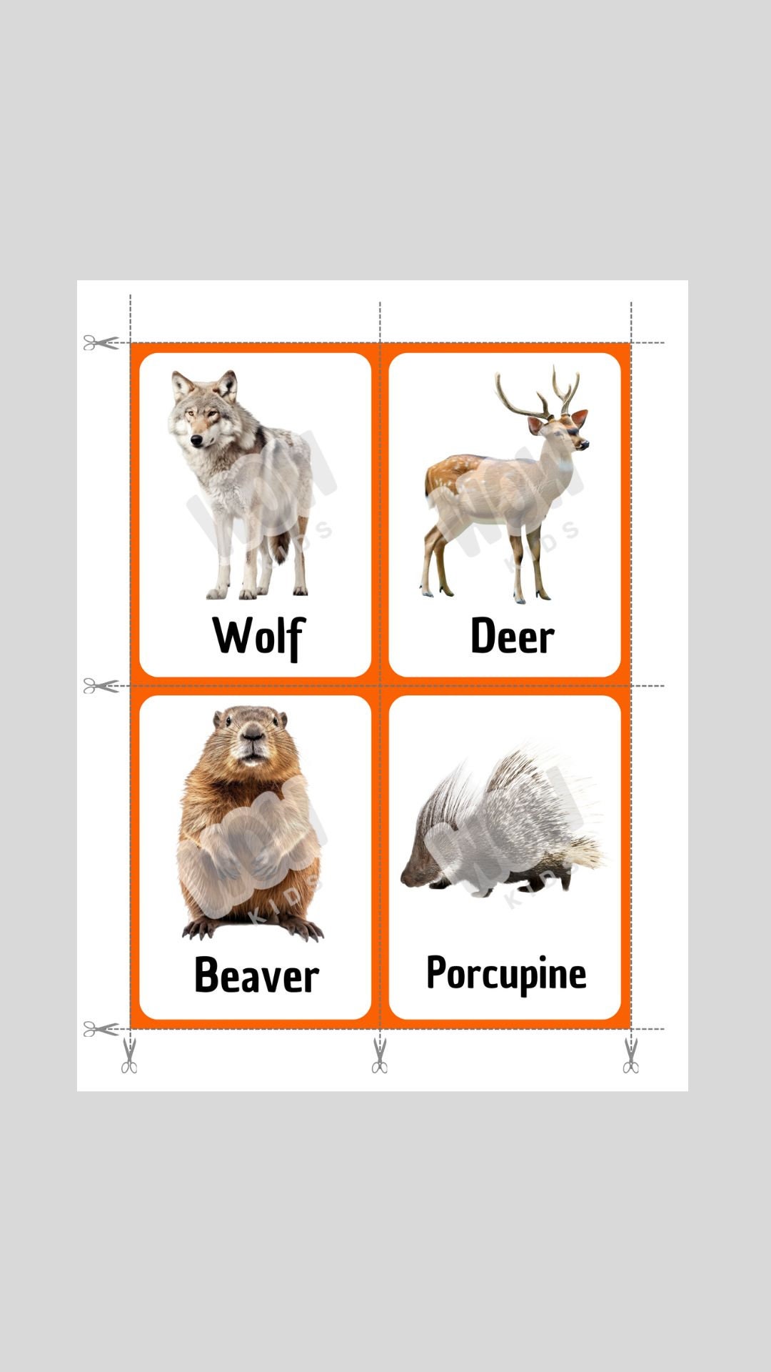 Flash Cards, Forest Animals, Preschool Flashcards, Printables Learning ...