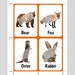 Flash Cards, Forest Animals, Preschool Flashcards, Printables Learning ...