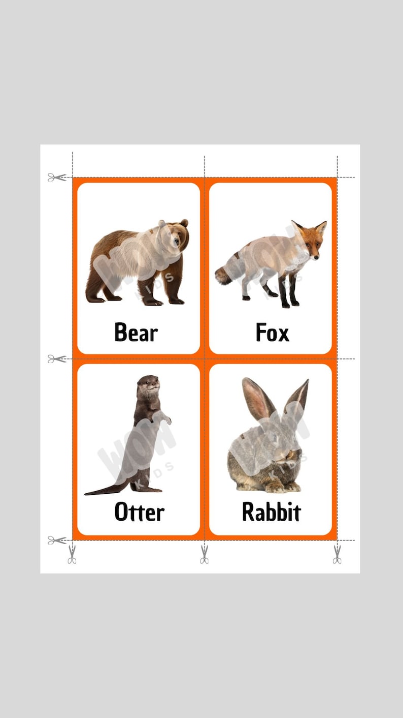 Flash Cards, Forest Animals, Preschool Flashcards, Printables Learning ...