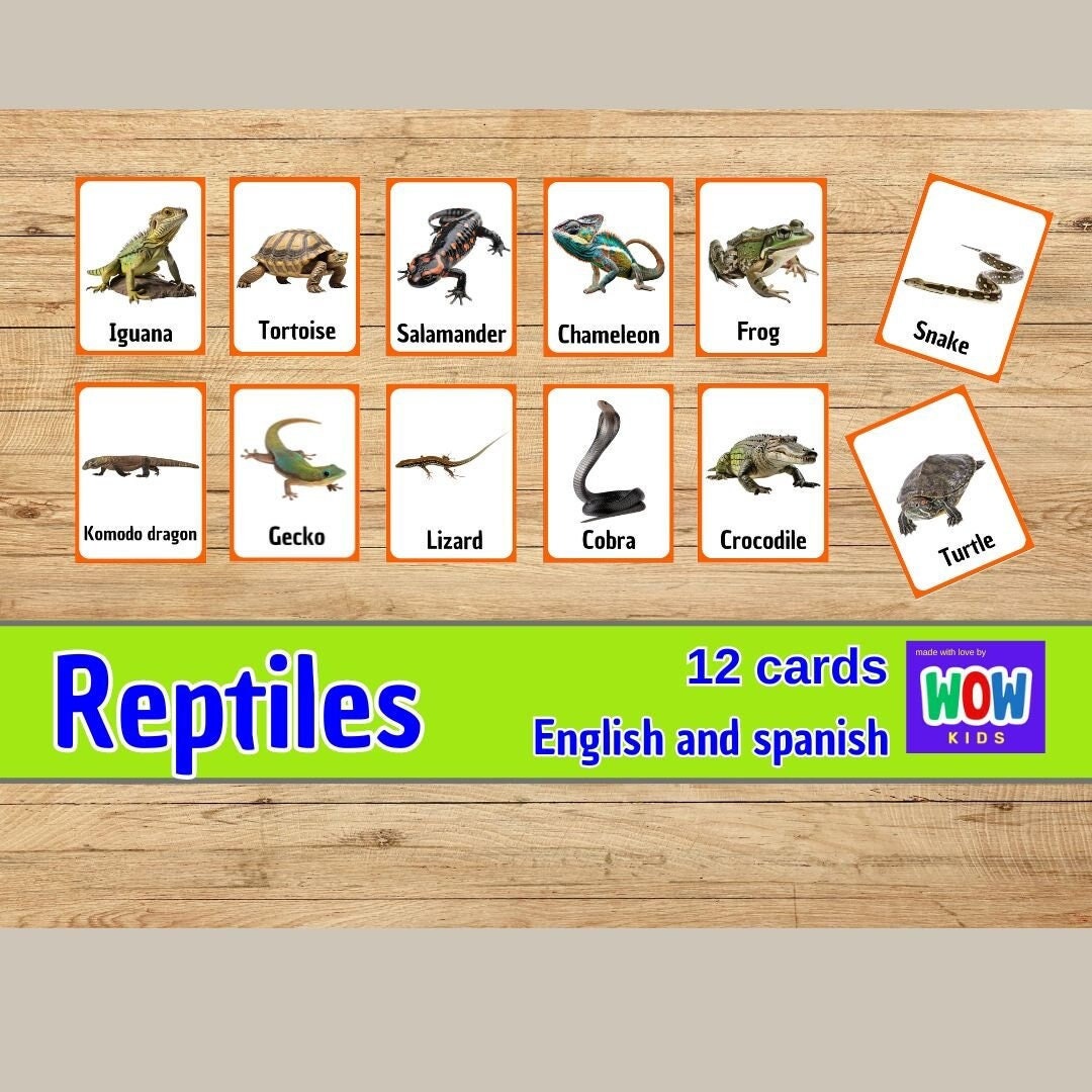 Flash Cards, Reptiles, Preschool Flashcards, Printables Learning ...