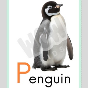 Flash Cards, Alphabet, Preschool Flashcards, Printables Learning ...