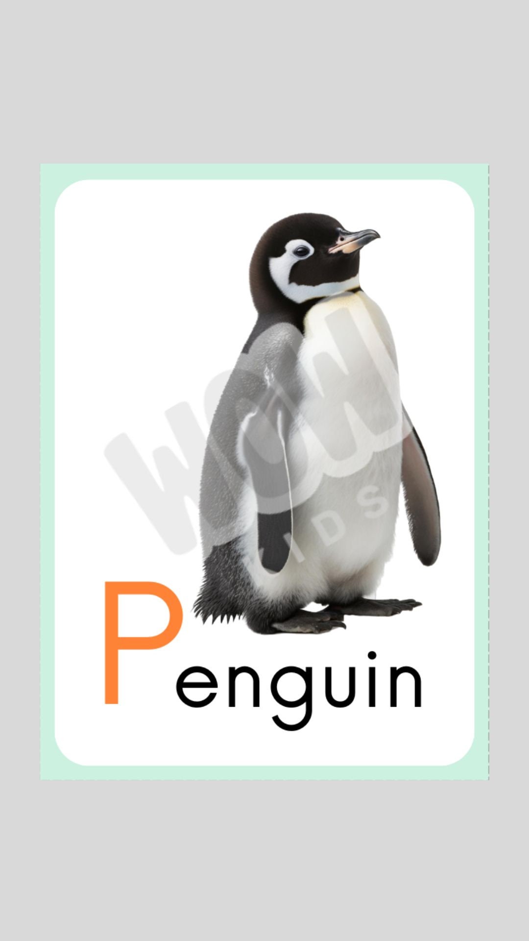 Flash Cards, Alphabet, Preschool Flashcards, Printables Learning ...