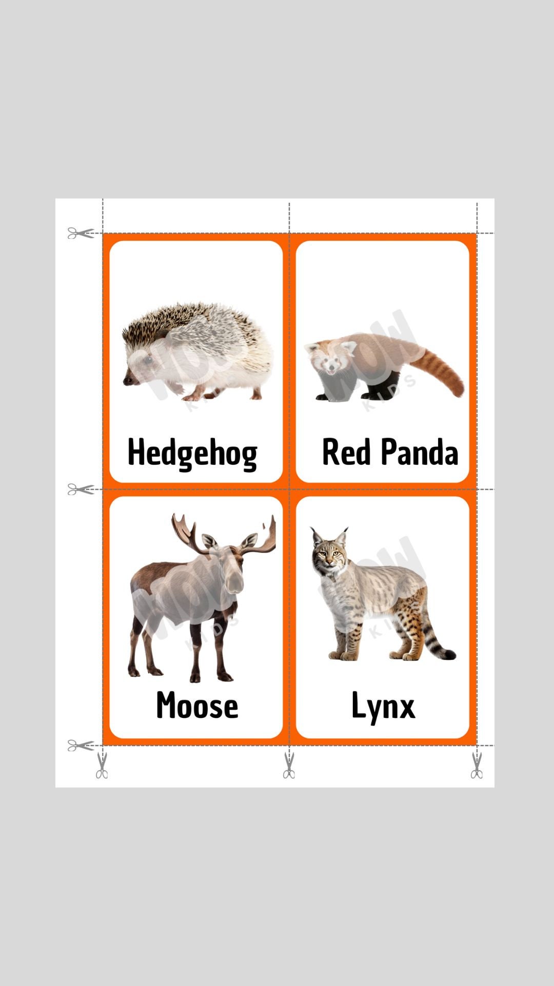 Flash Cards, Forest Animals, Preschool Flashcards, Printables Learning ...