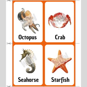 Flash Cards, Sea Animals, Preschool Flashcards, Printables Learning ...