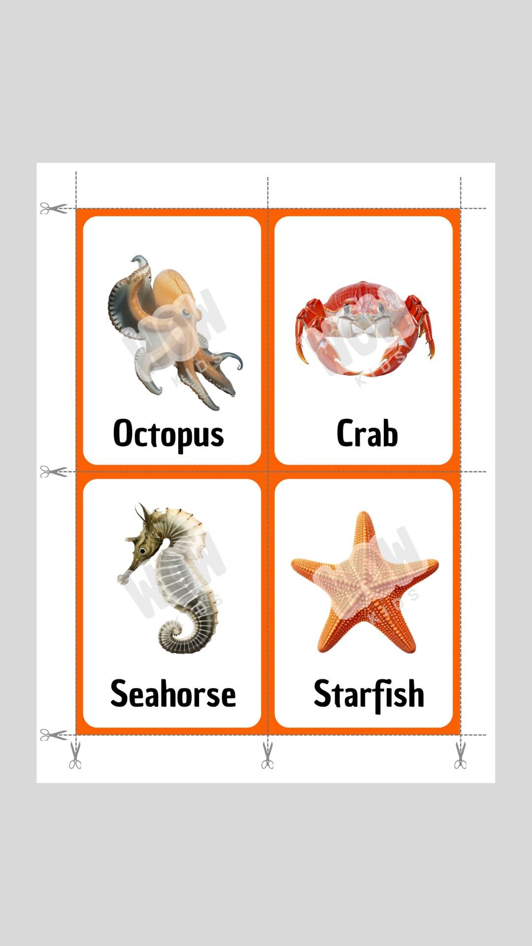 Flash Cards, Sea Animals, Preschool Flashcards, Printables Learning ...