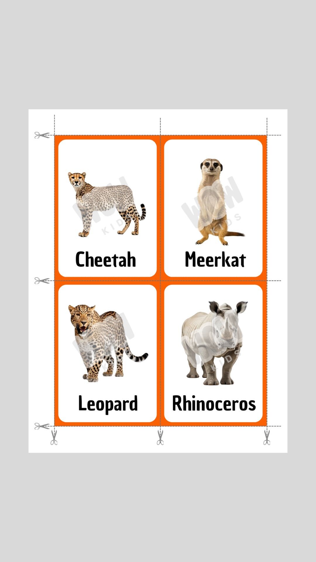 Flash Cards, Jungle Animals, Preschool Flashcards, Printables Learning ...