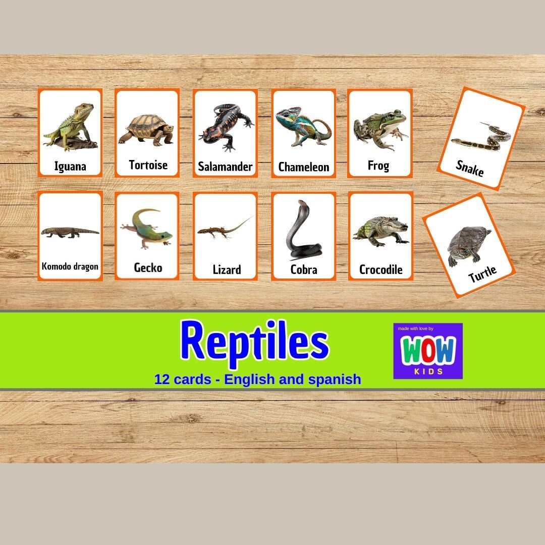 Flash Cards, Reptiles, Preschool Flashcards, Printables Learning ...