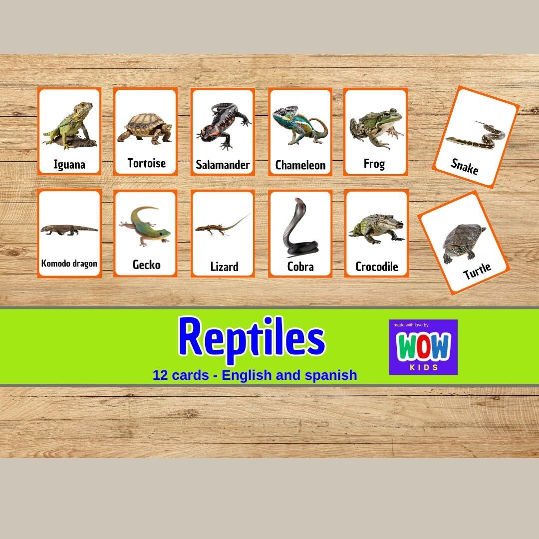 Flash Cards, Reptiles, Preschool Flashcards, Printables Learning ...