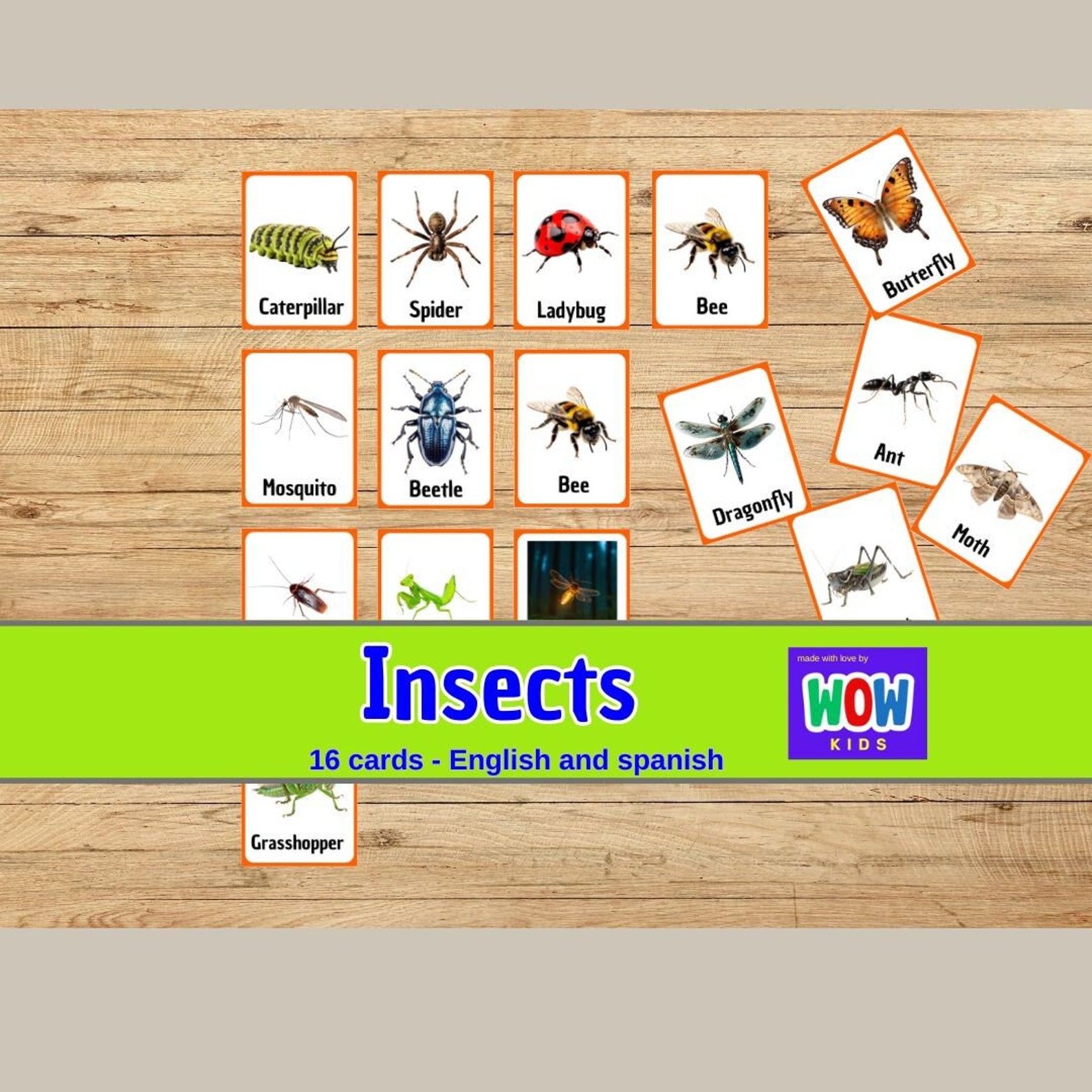 Flash Cards, Insects, Preschool Flashcards, Printables Learning ...