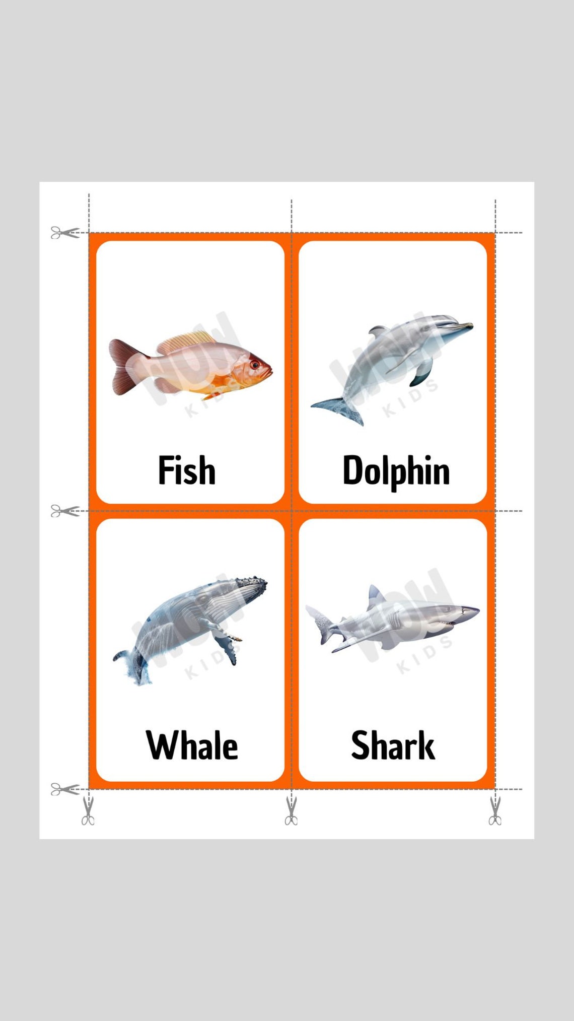 Flash Cards, Sea Animals, Preschool Flashcards, Printables Learning ...