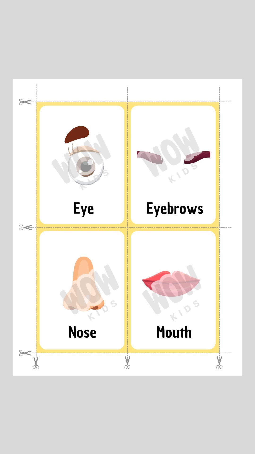 Flash Cards, Preschool Flashcards, Body Parts Flashcards, Image Cards ...