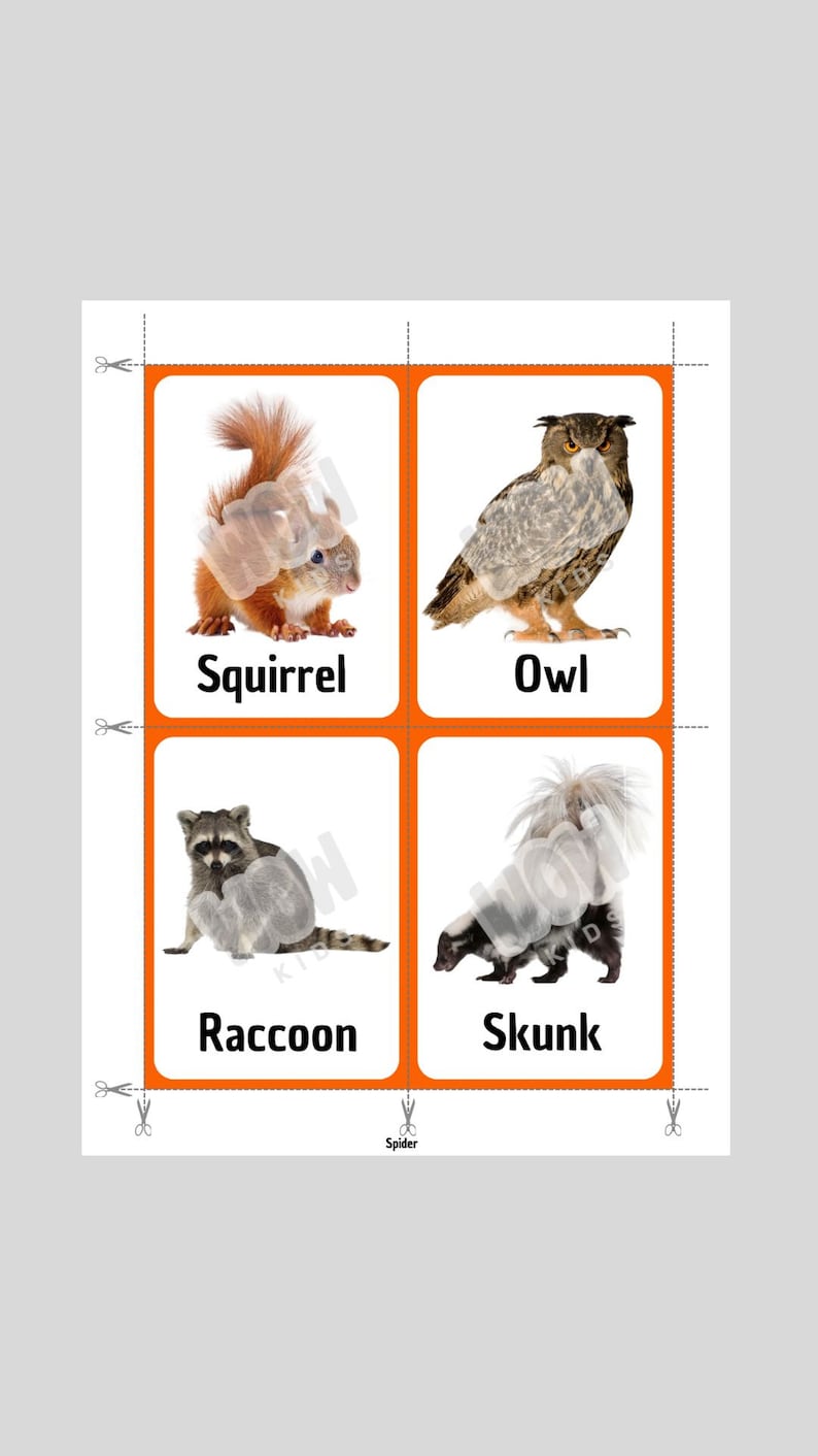 Flash Cards, Forest Animals, Preschool Flashcards, Printables Learning ...
