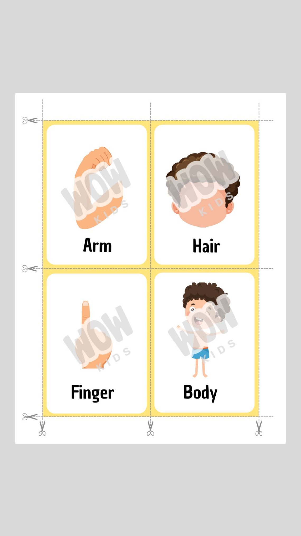 Flash Cards, Preschool Flashcards, Body Parts Flashcards, Image Cards ...