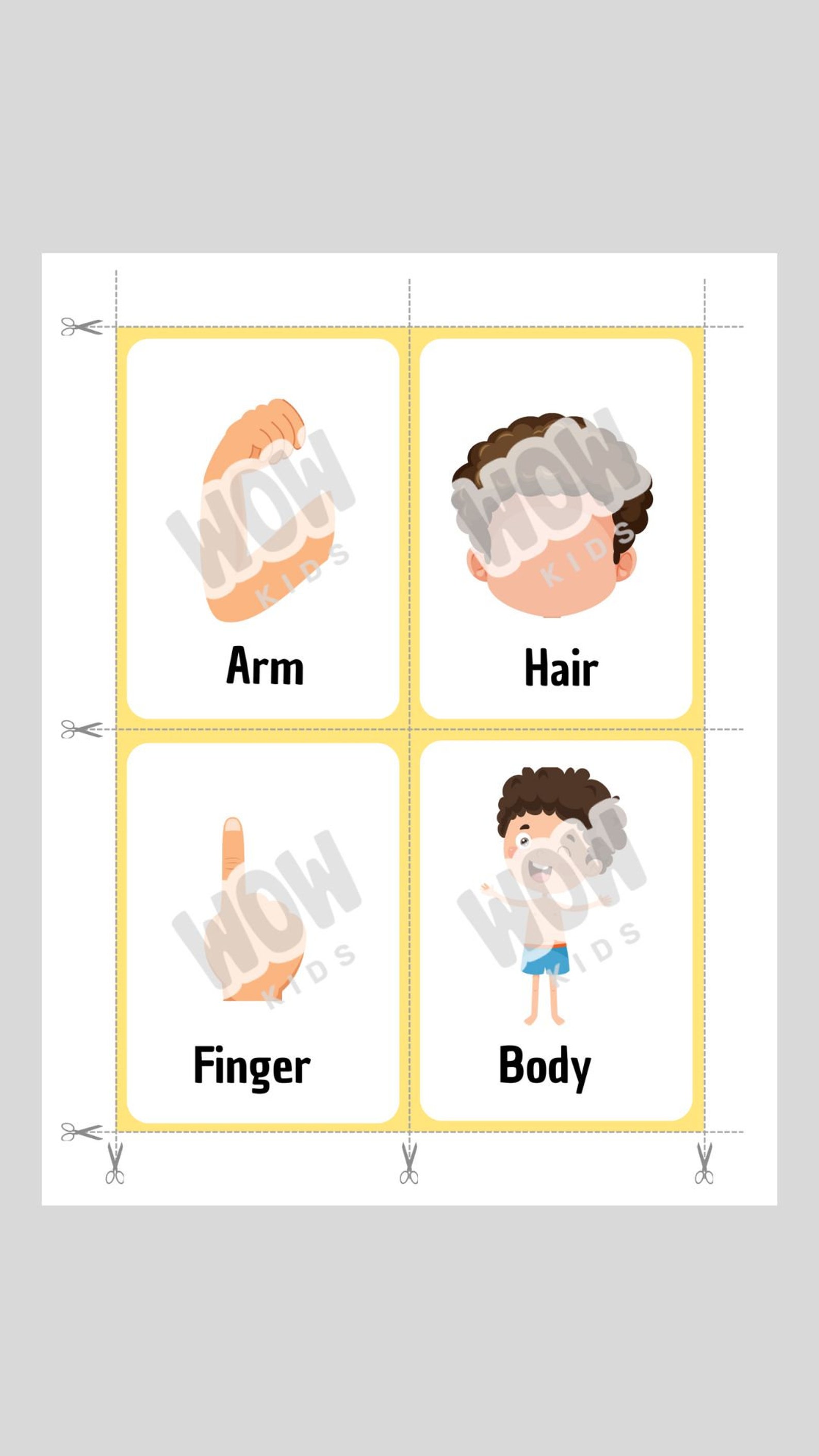 Flash Cards, Preschool Flashcards, Body Parts Flashcards, Image Cards ...