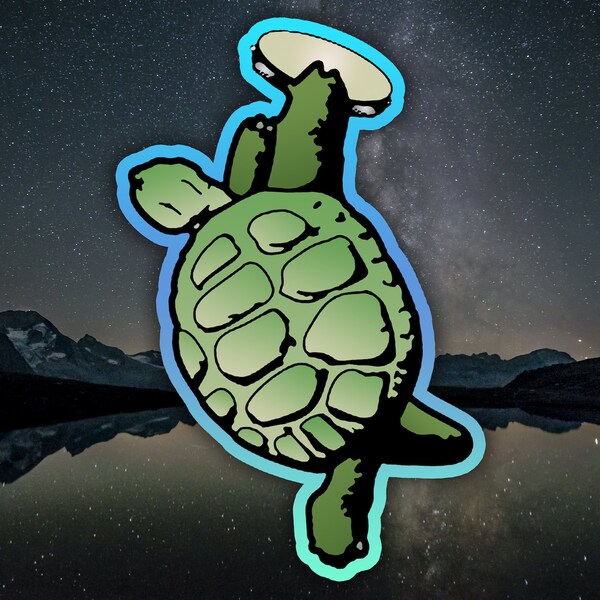 Terrapin Turtle - Etsy