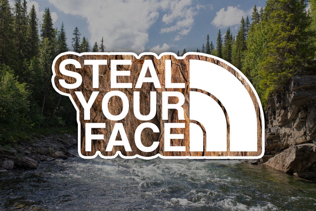 Steal Your Face Waterproof Vinyl Sticker Decal Grateful Dead Lyric Art ...