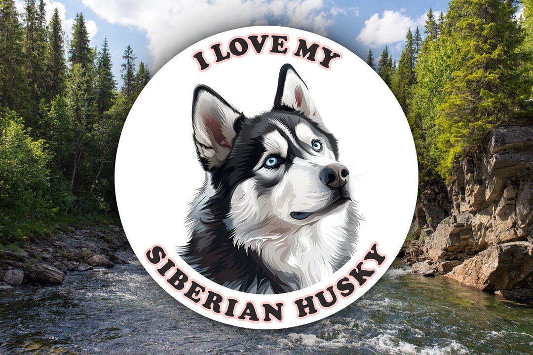 I Love My Siberian Husky Sticker Decal Waterproof Vinyl Art - Etsy