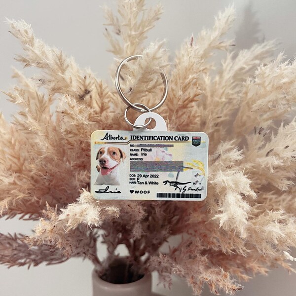 Dog Driver License - Etsy