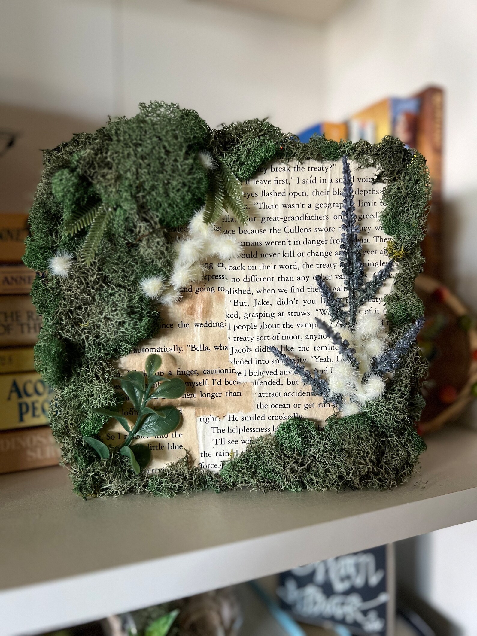 Twilight Forest Moss Frame, Moss Wood Frame Diorama - Etsy