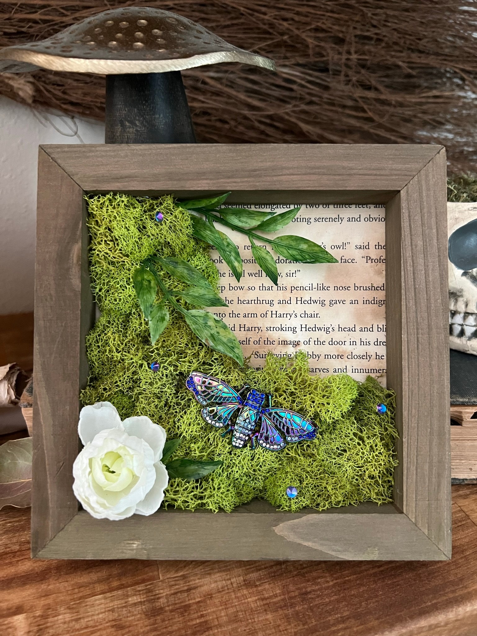 Enchanted Forest Moss & Gilded Moth Frame Moss and Moth Wood - Etsy