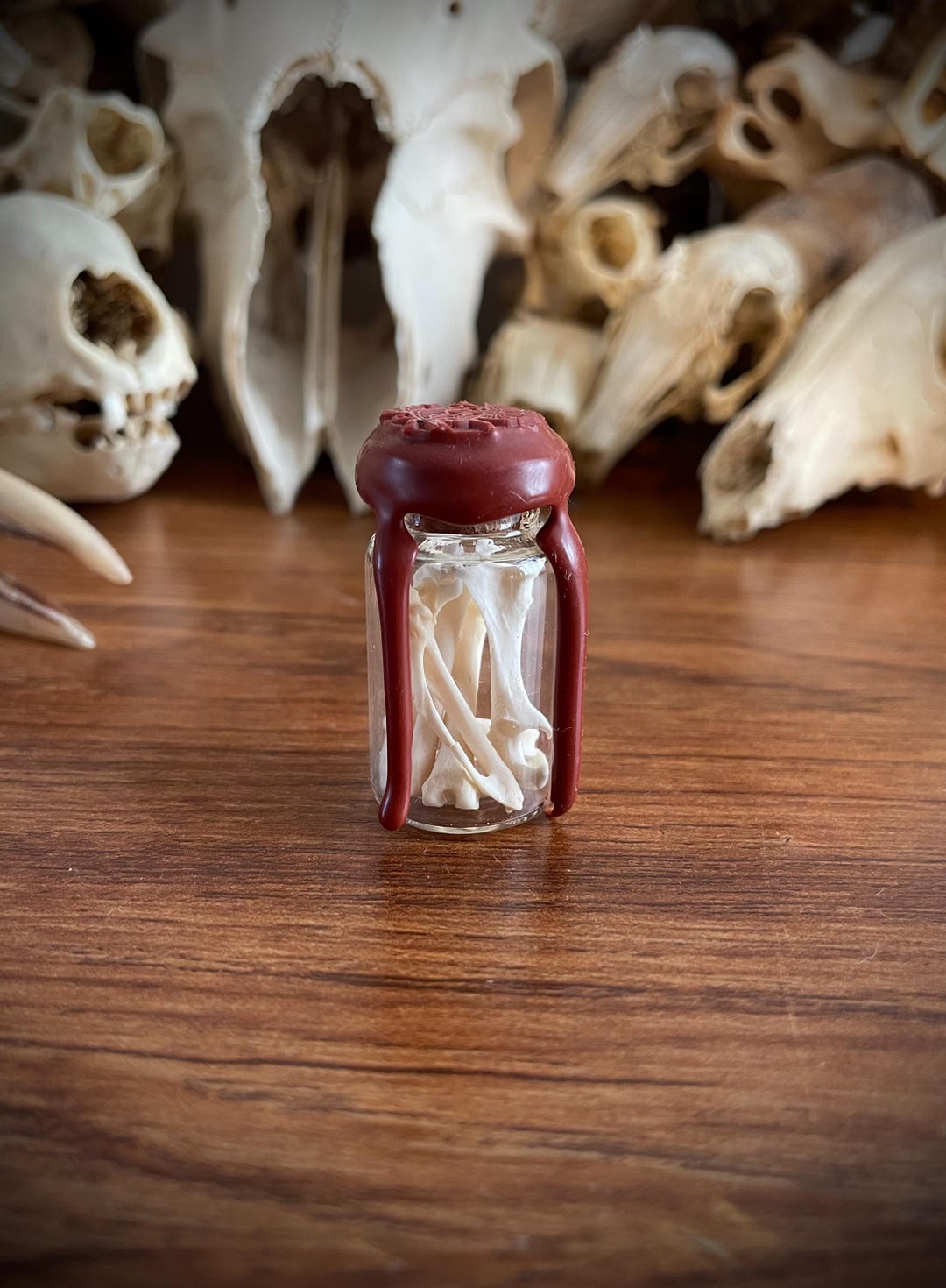 Mini Bone Jar - Etsy
