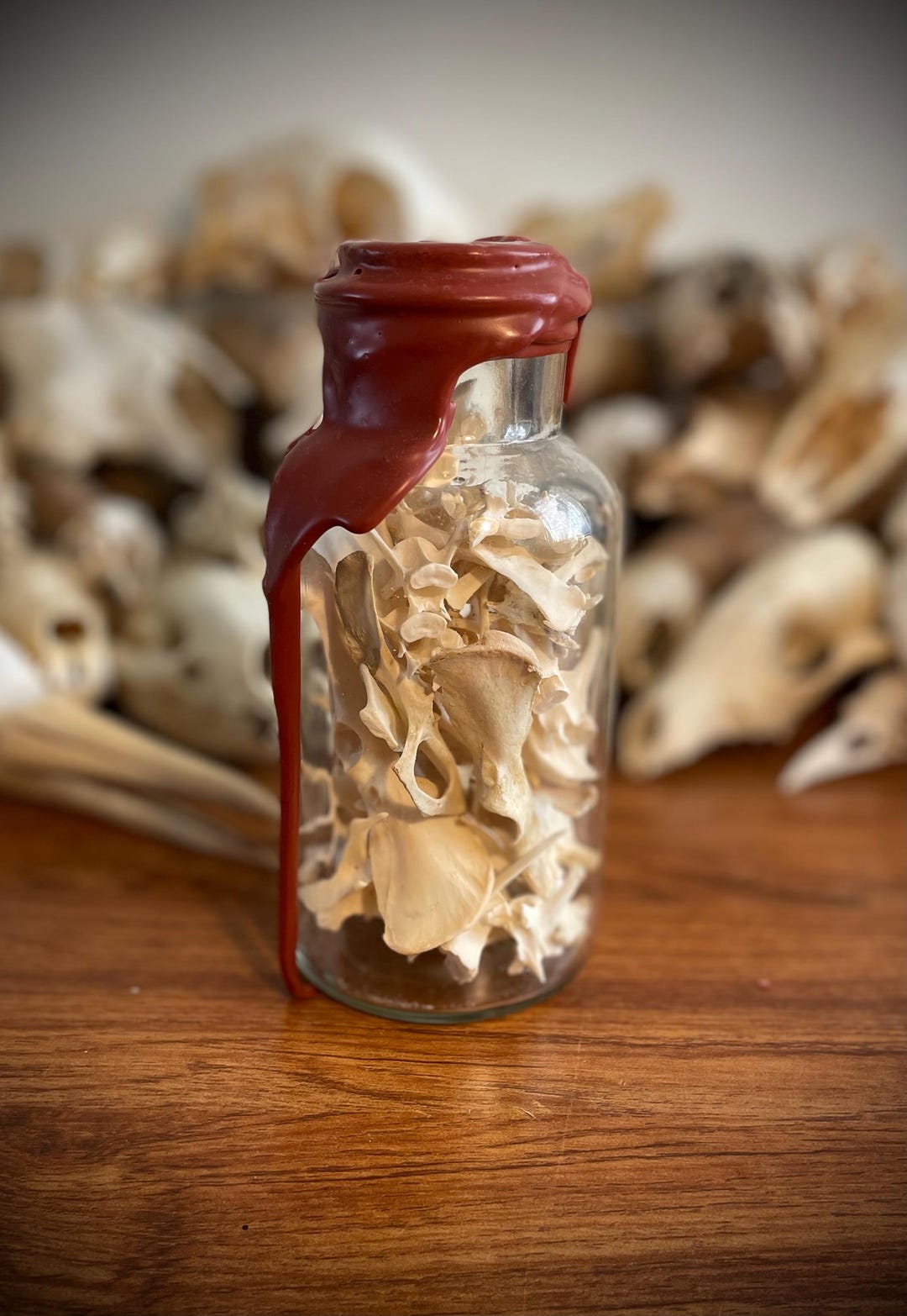 Large Bone Jar, Vertebraes and Pelvic Bones, With Wax Seal. - Etsy