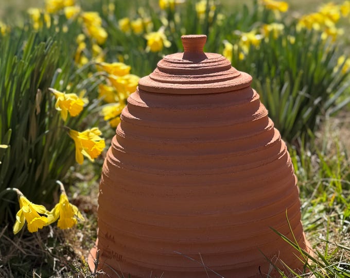 Rhubarb Forcer -the Mini - Etsy