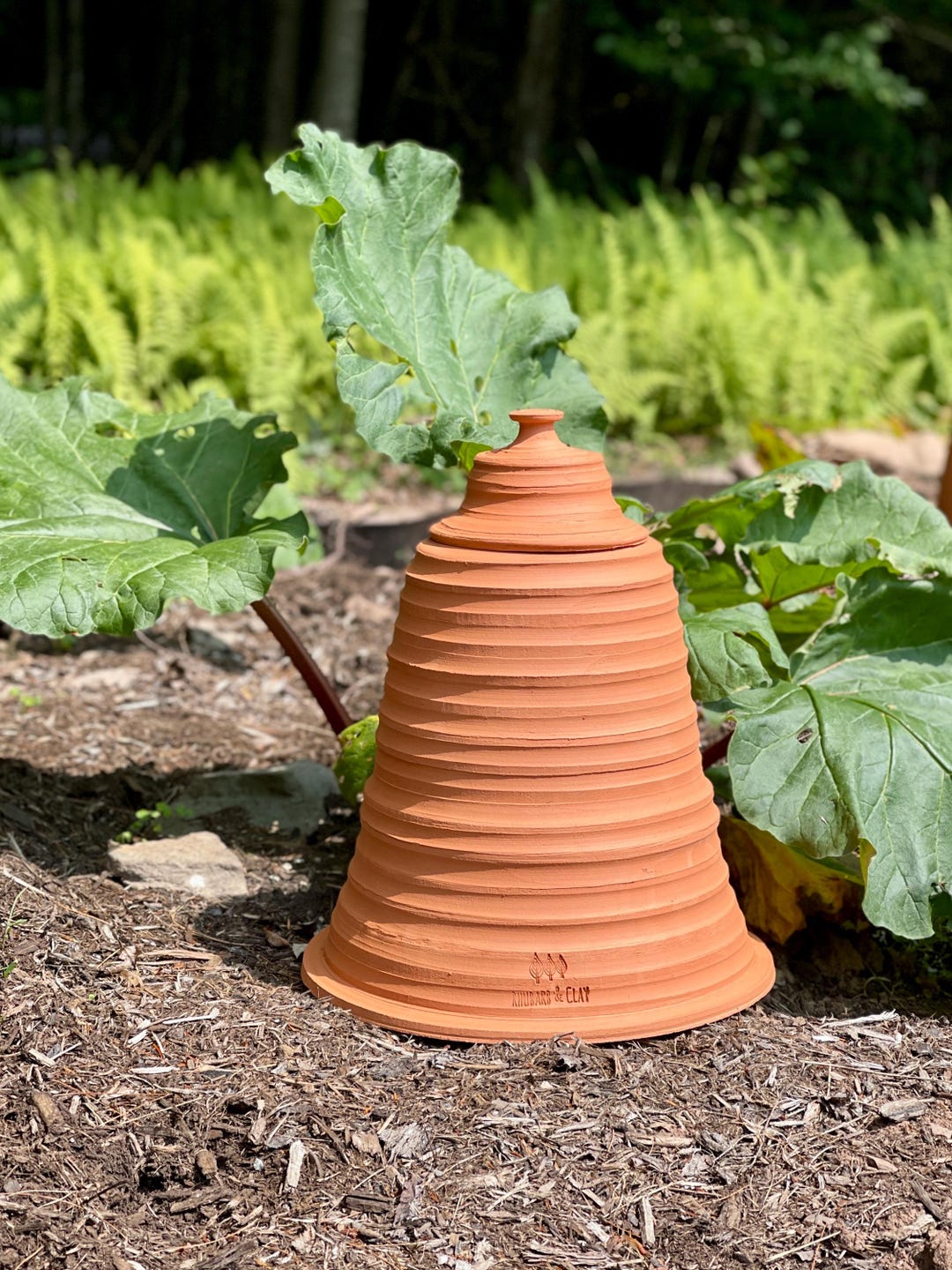 Rhubarb Forcer - the Midi Beehive - Etsy