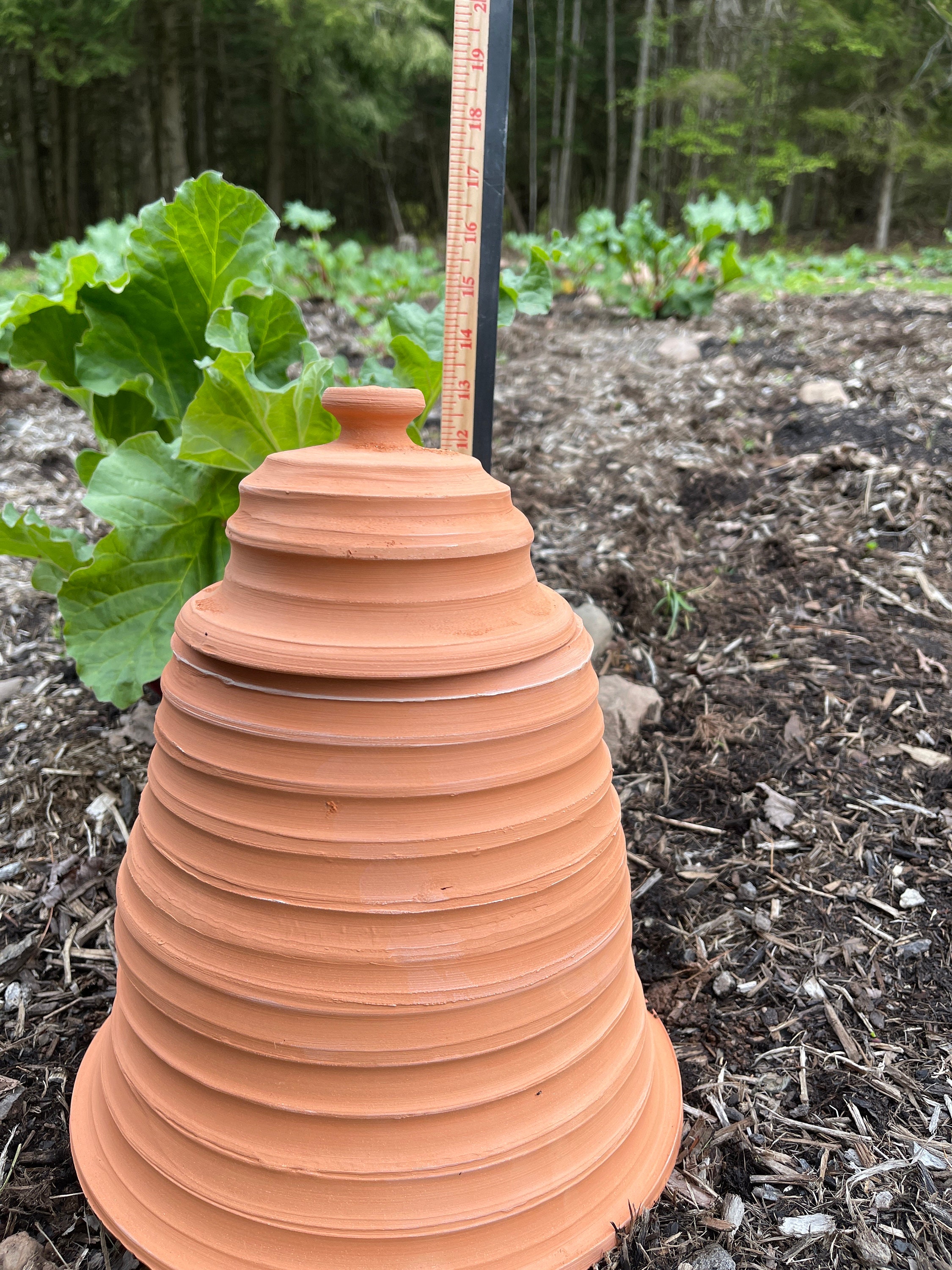 Rhubarb Forcer Mini Beehive - Etsy