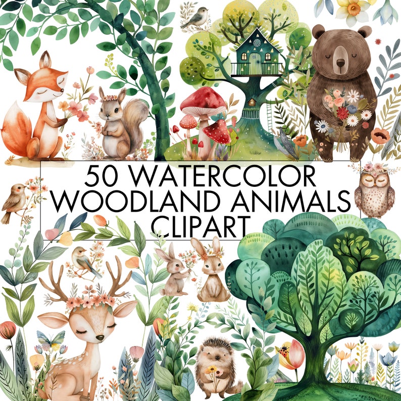 Woodland Animals Watercolor Clipart PNG Bundle, Bear, Fox, Rabbit, Owl ...