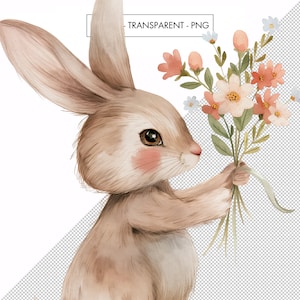 Woodland Animals Watercolor Clipart PNG Bundle, Bear, Fox, Rabbit, Owl ...
