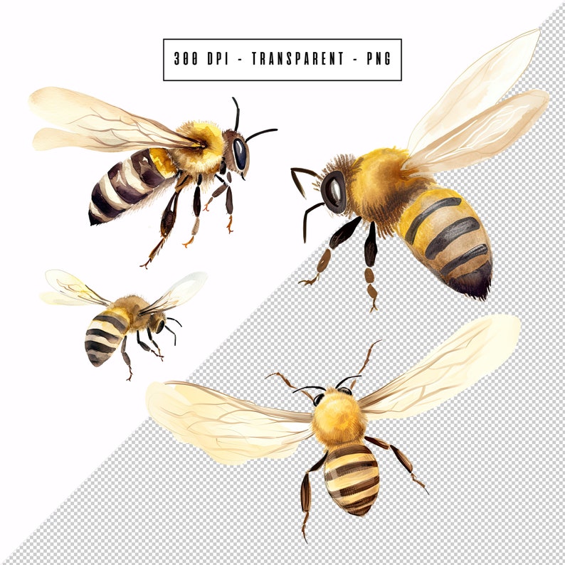 Watercolor Bee Clipart Bundle, Bee Themed Clipart, Floral Clipart ...