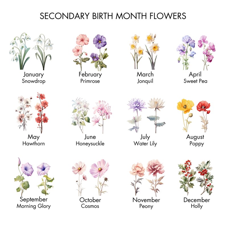 Vintage Birth Month Flower Clipart Bundle: 72 PNG Floral Graphics ...