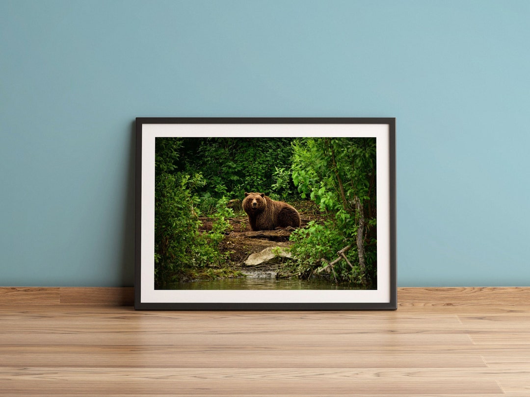 Brown Bear the Forest Poster Brown Bear Photo Print Home Decor Art - Etsy