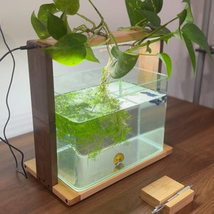 SEOUL: Designer Platform for Aquarium / Terrarium - Etsy