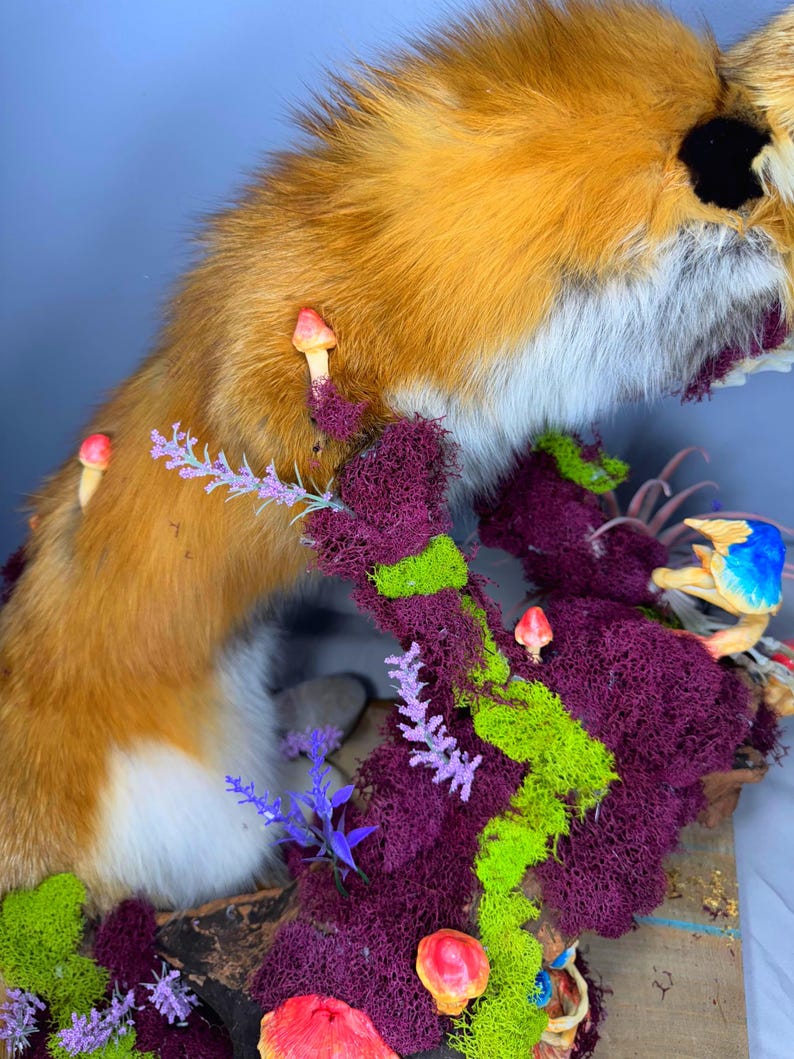 Taxidermy Fox Mushroom Trip | Escaping Skull Trippy Forest Mount ...