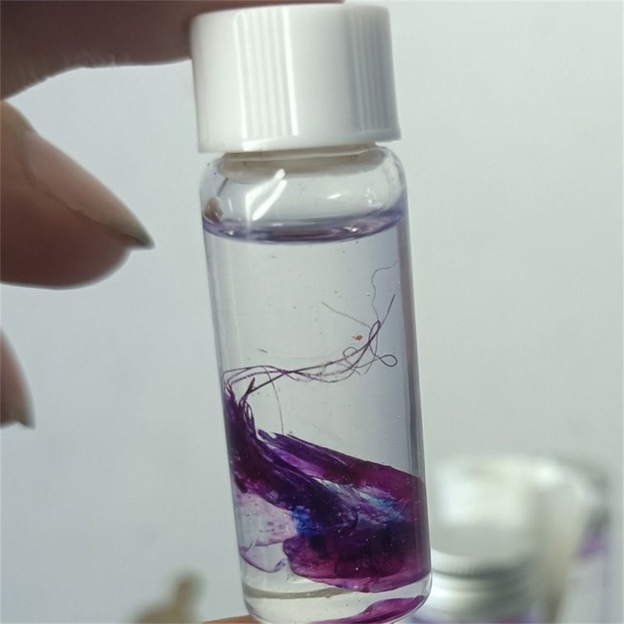 Mysterious Transparent Stained Fish Skeleton Specimen,real Stained ...