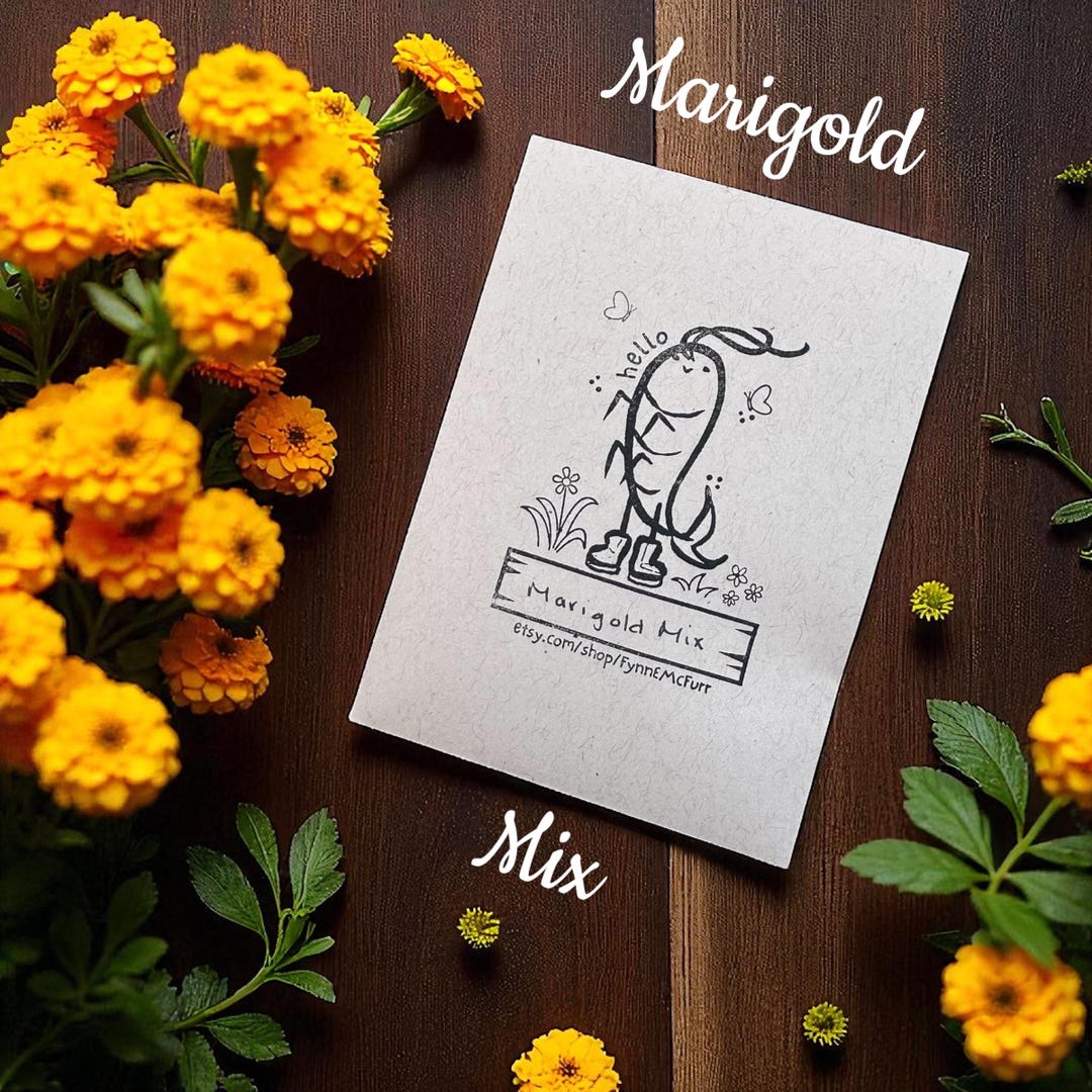 Marigold Seeds / Mixed Marigold Seed Packet / Non-gmo Flower Seeds - Etsy