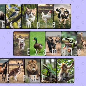 Engaging Animal Flashcards: 25 Printable Flashcards Ideal for ...
