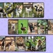 Engaging Animal Flashcards: 25 Printable Flashcards Ideal for ...