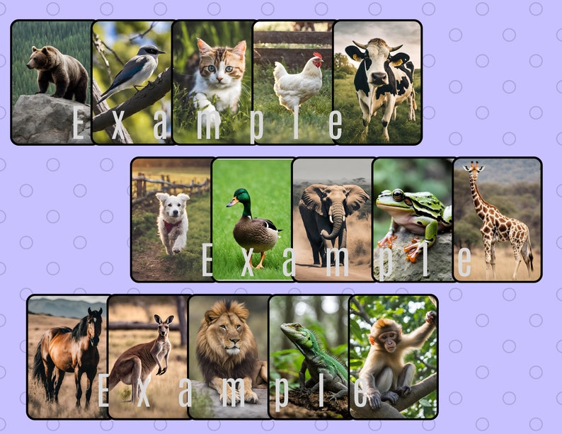 Engaging Animal Flashcards: 25 Printable Flashcards Ideal for ...