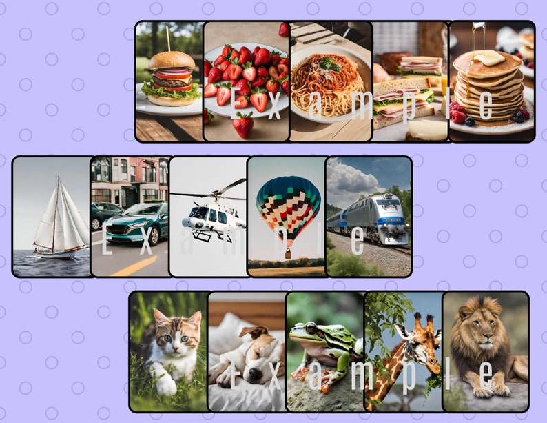 Category Printable Flashcard Bundle: Things That Go Together Set With ...