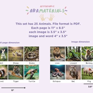 Printable Animal Flash Cards With Real Images and Words-25 Educational ...